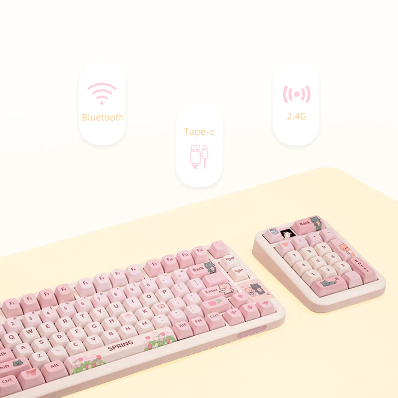 Customizable OLED Mechanical Keyboard: The Ultimate Keyboard Experienc ...