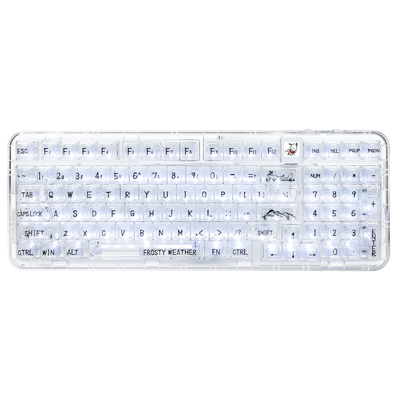 CoolKiller CK98 Wireless Hot Swappable OLED Mechanical Keyboard - Polar ...